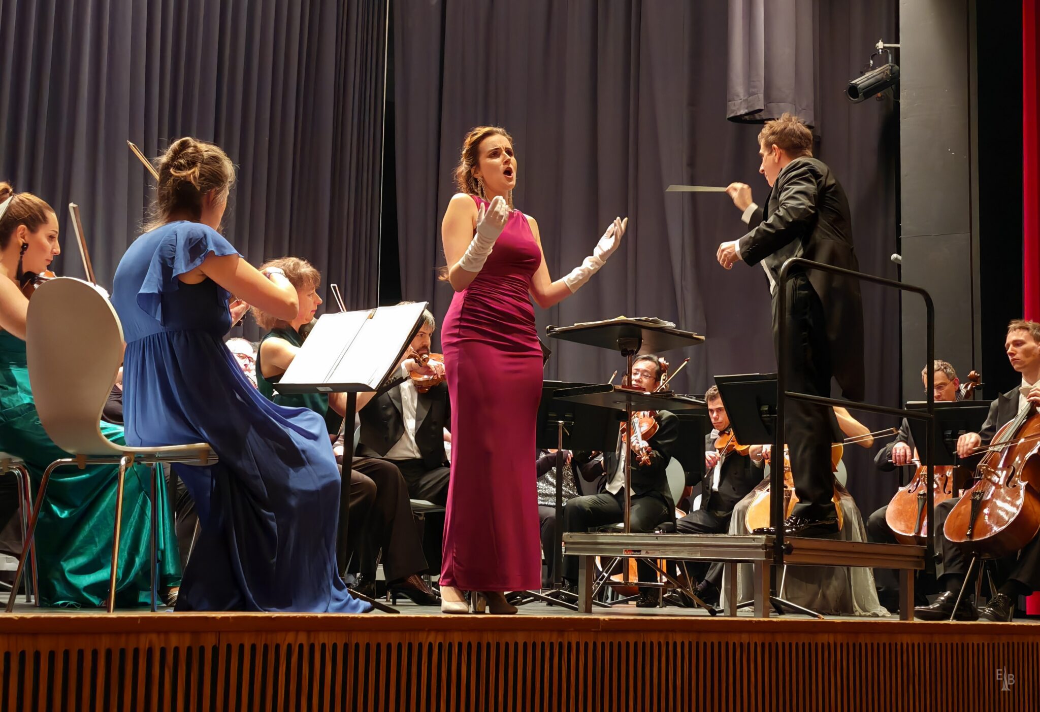 Standing Ovations für das fast ausverkaufte Neujahrskonzert des GSO in ...